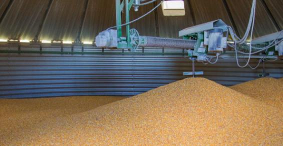Farmers discuss experiences using on-farm grain drying – The Seam