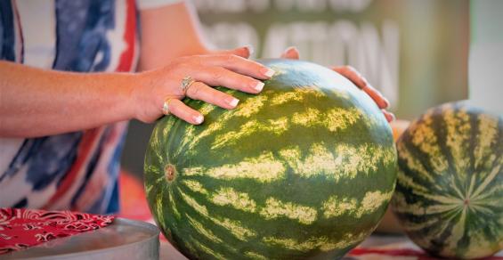 Texas melon crop: Sweet, 'outstanding' quality – The Seam