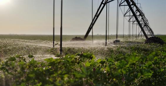Texas water policies affect agriculture – The Seam