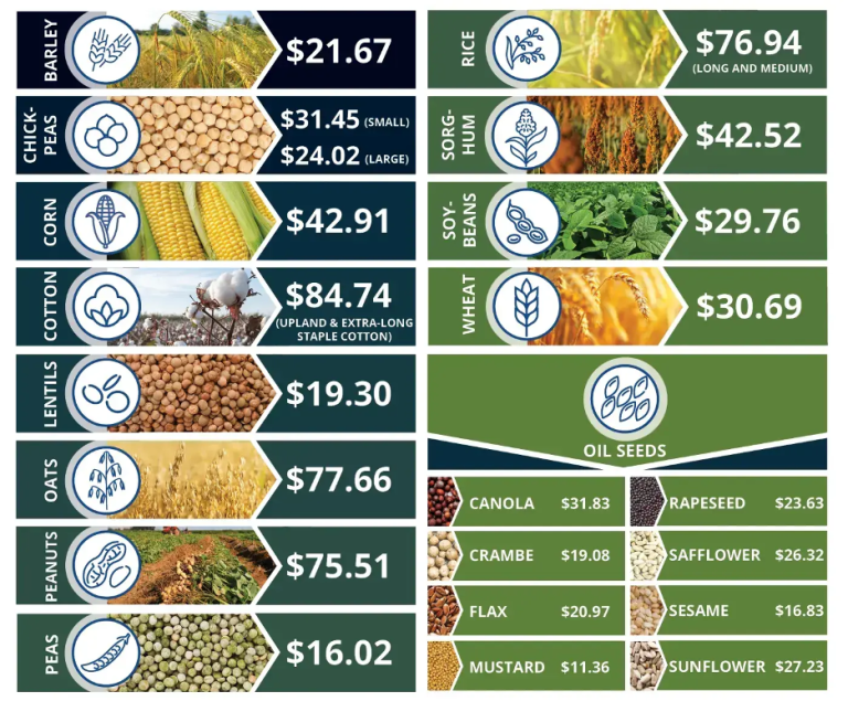 Emergency Commodity Assistance Program – The Seam